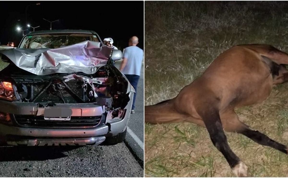 Cita Del Caballo Muerto Análisis De La Simbólica Apocalíptica En El