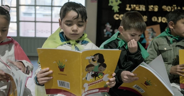 Comprendo y Aprendo: llegaron 24.000 libros para estudiantes y docentes